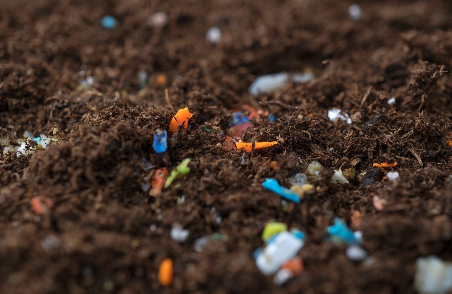 Momentum | International Conference (Micro-nano) Plastics in Soil